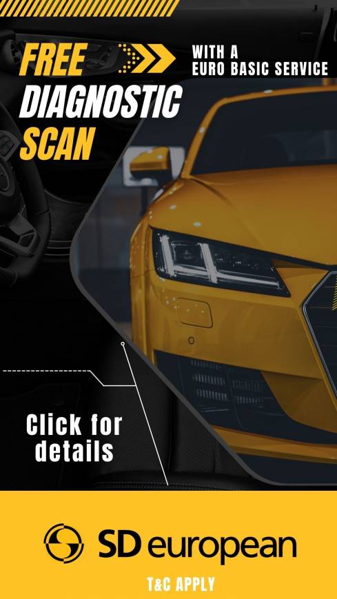 Free Diagnostic scan with euro basic service | News